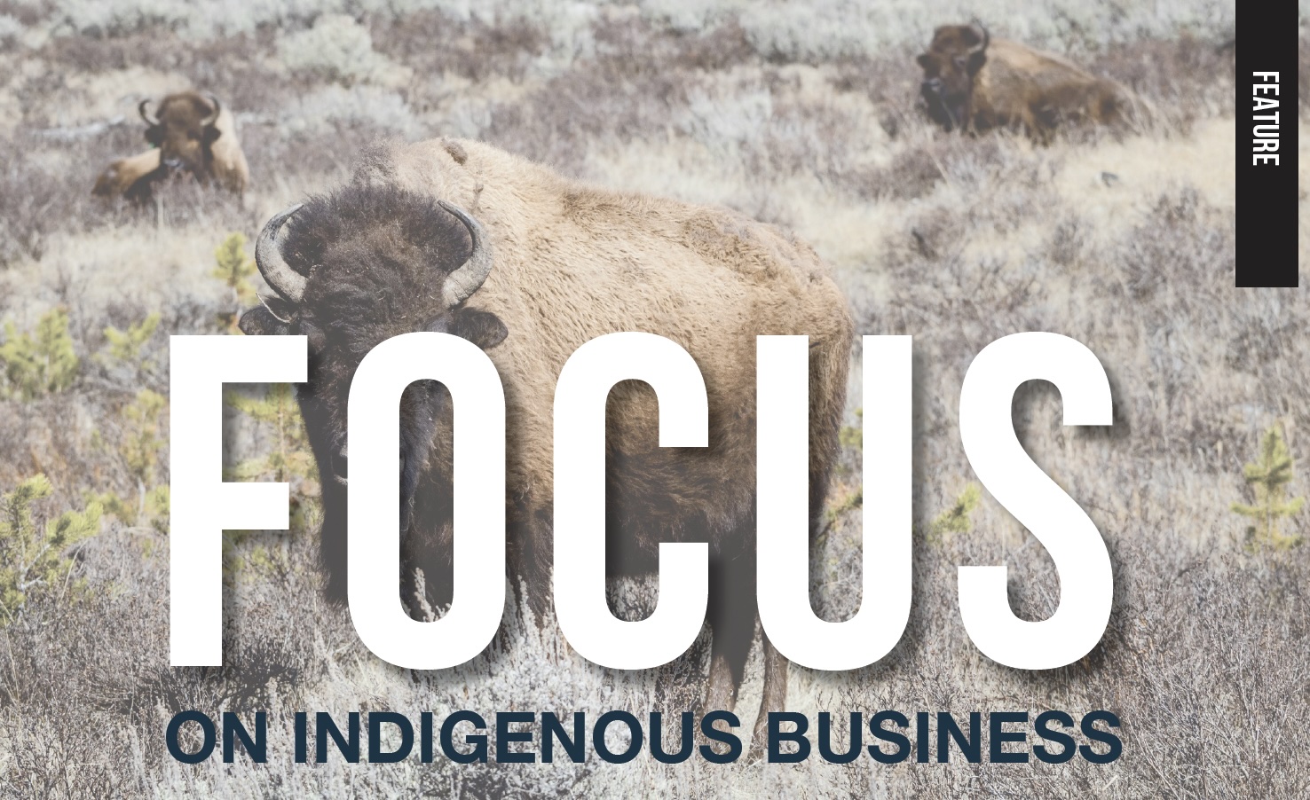 FOCUS ON INDIGENOUS BUSINESS – Manitoba Inc.